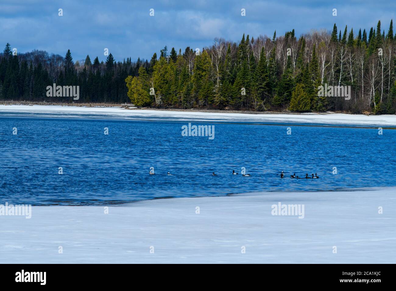 Ice the early spring hi-res stock photography and images - Alamy