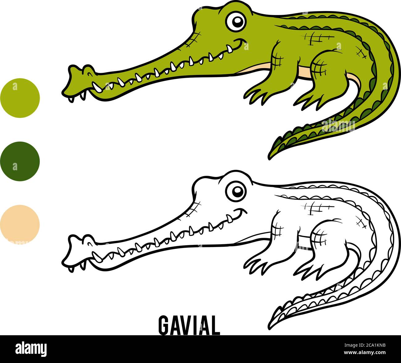 Crocodile coloring page printable hi-res stock photography and images ...