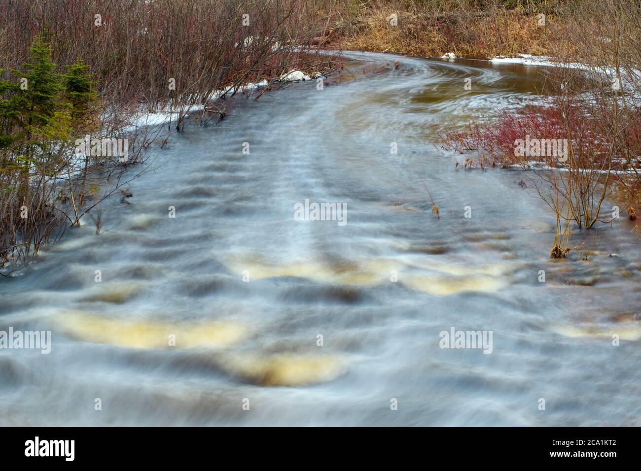 Timmins ontario forest hi-res stock photography and images - Alamy
