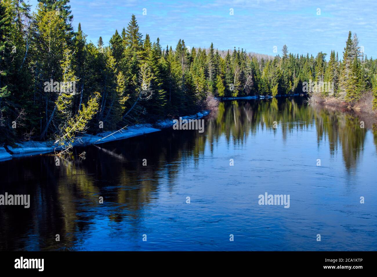 Boreal forest lining the shore of Makami River in early spring, near ...