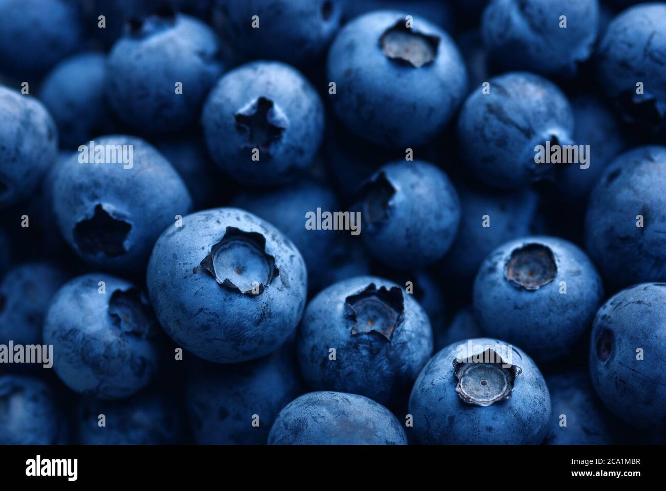 Dark blue backgrounds summer hi-res stock photography and images - Alamy