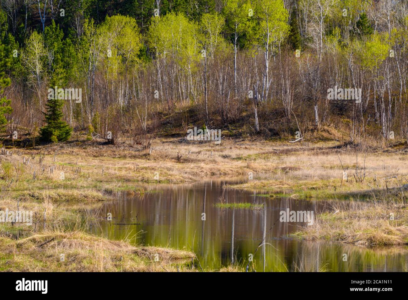 Mixed water channel hi-res stock photography and images - Alamy