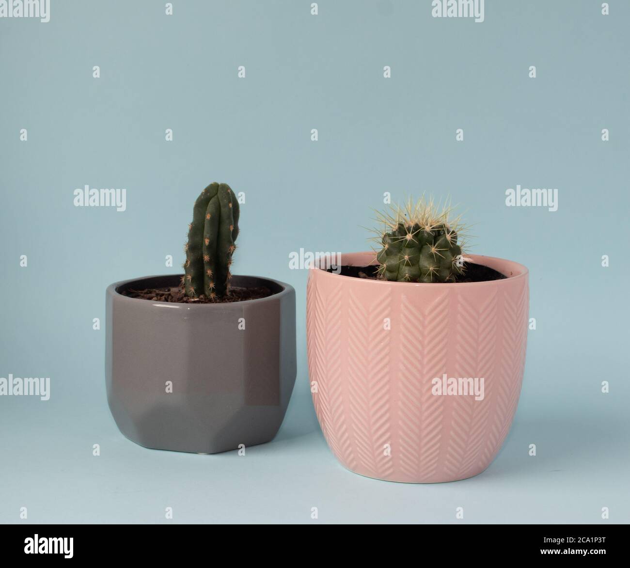 Two small plants in pots hi-res stock photography and images - Alamy
