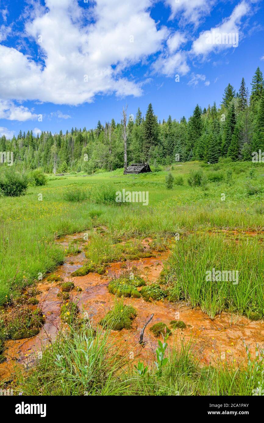 Mineral spring, Ray Farm, Wells Gray Provincial Park, British Columbia ...