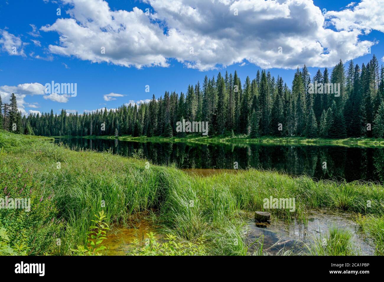 Alice Lake, Wells Gray Provincial Park, British Columbia, Canada Stock ...