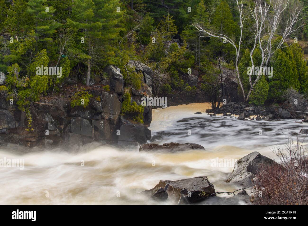 Spring forest onaping falls hi-res stock photography and images - Alamy