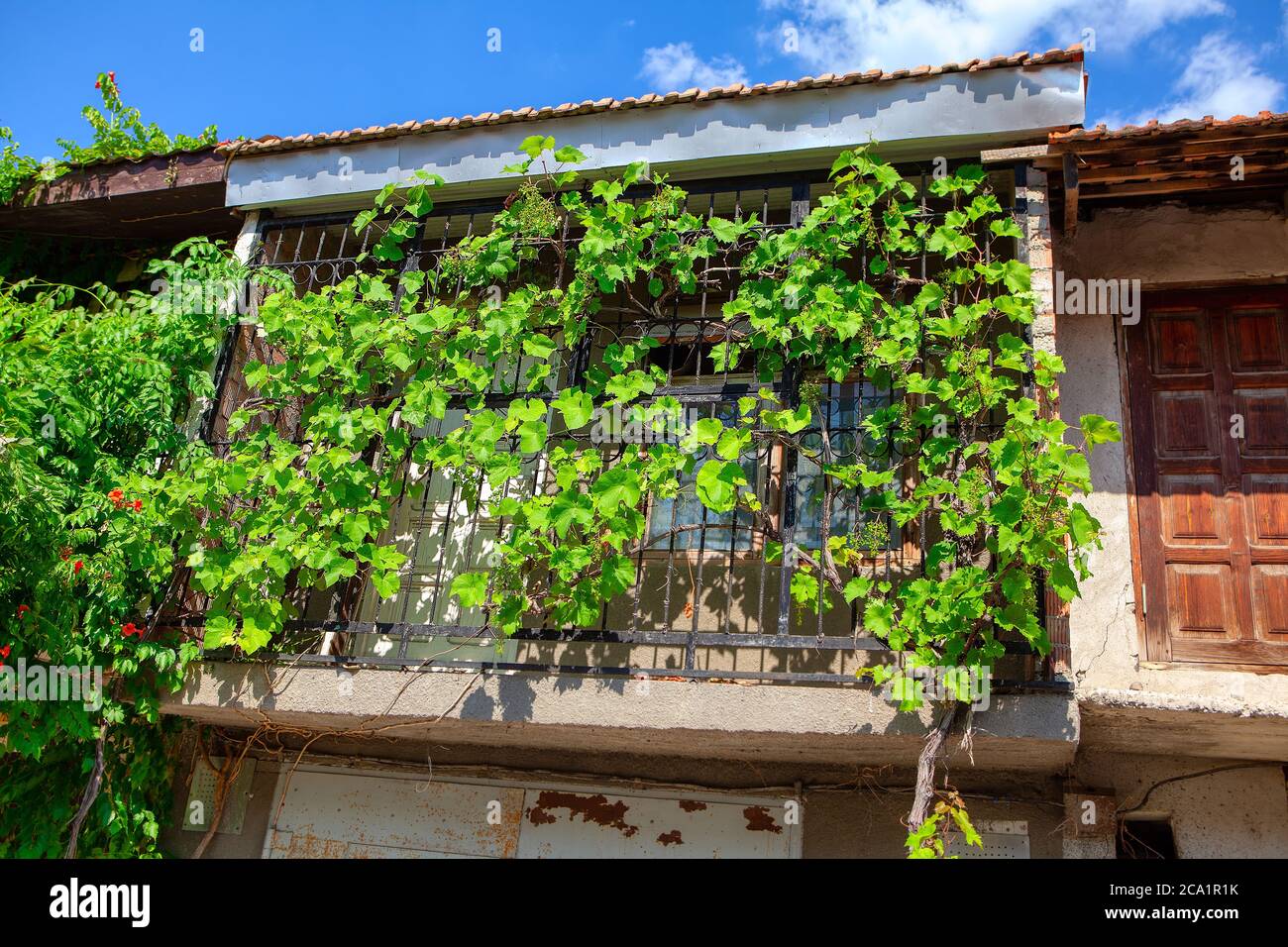 Balcony with overgrown plants hi-res stock photography and images - Alamy