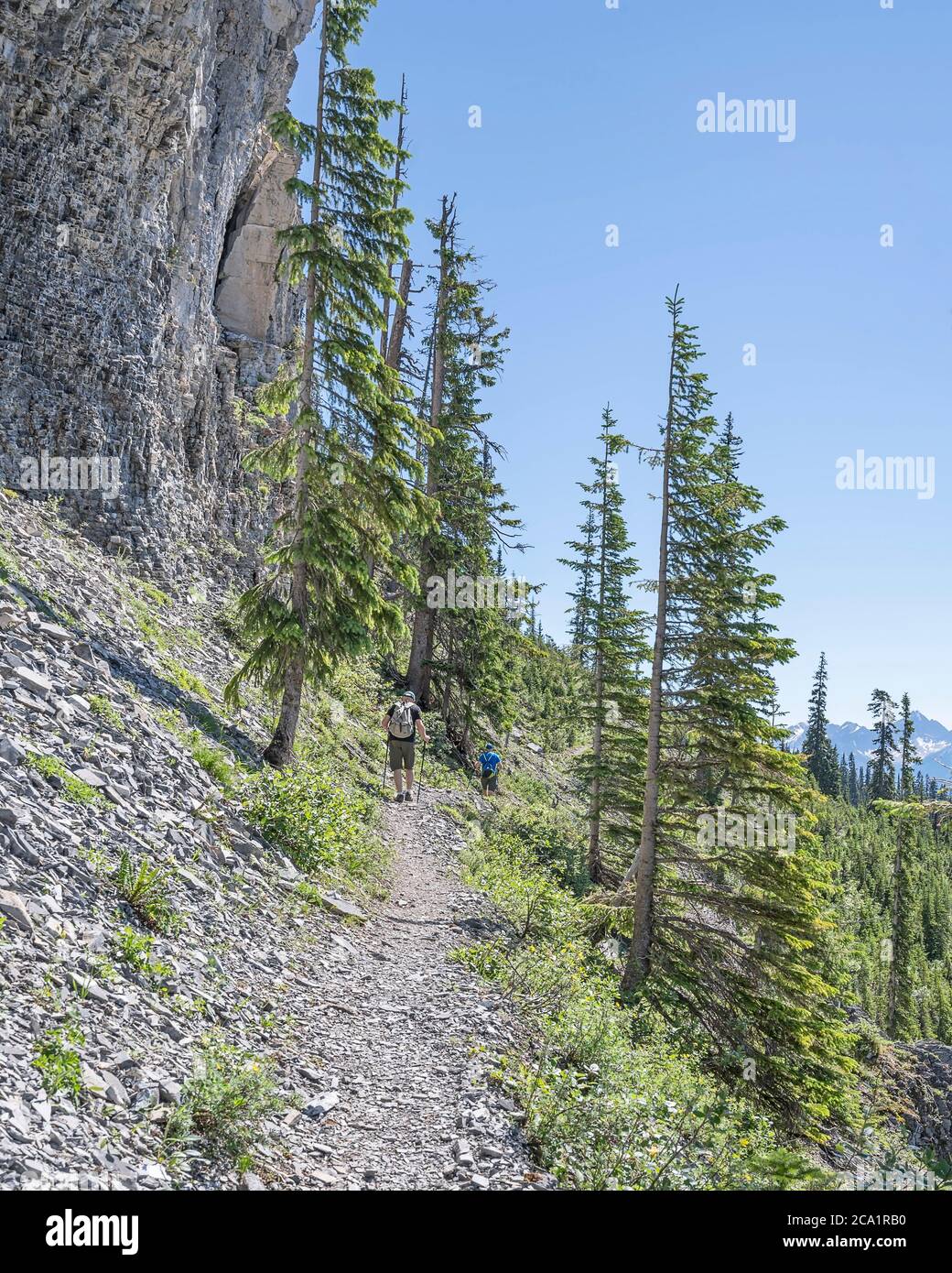 Burgess shale hi-res stock photography and images - Alamy