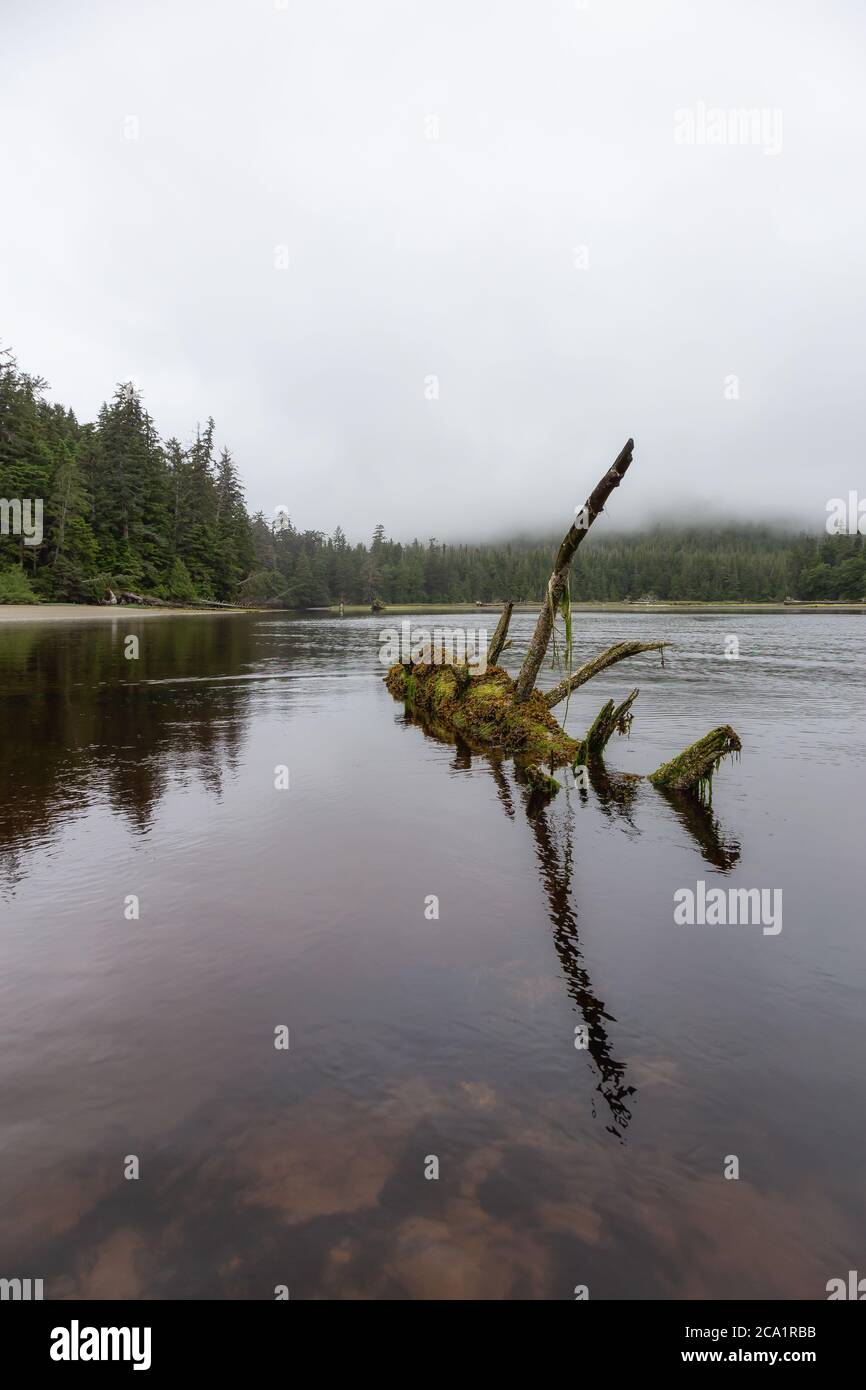 Raft Cove, Northern Vancouver Island, British Columbia, Canada Stock ...