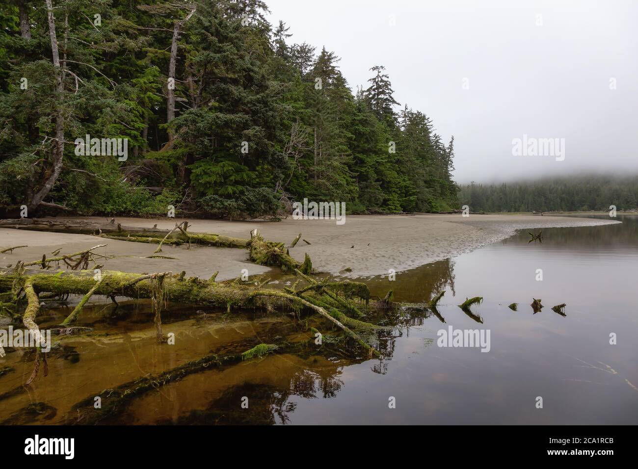 Raft Cove, Northern Vancouver Island, British Columbia, Canada Stock ...