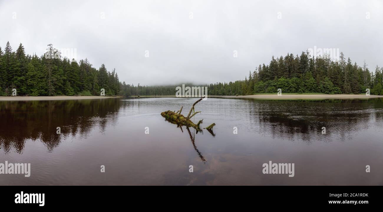 Raft Cove, Northern Vancouver Island, British Columbia, Canada Stock ...