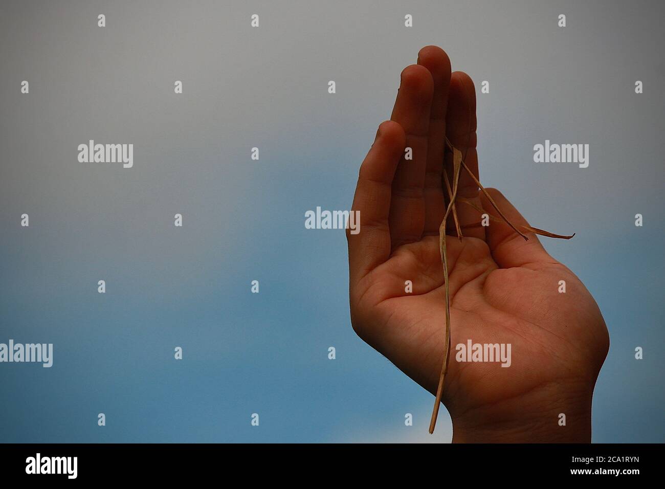 Hindu brahmans hi-res stock photography and images - Alamy