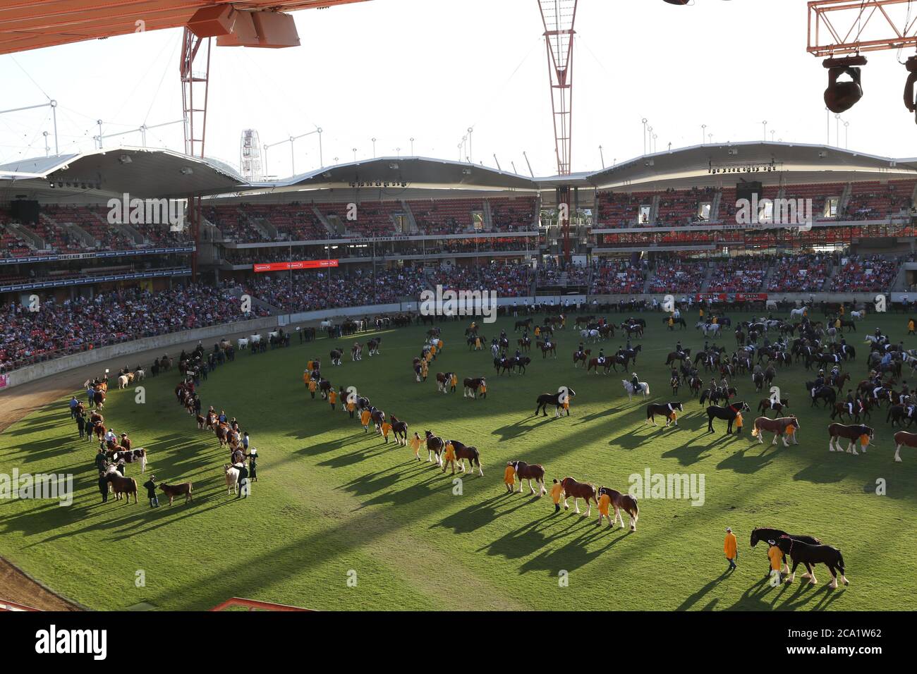 The Grand Parade held at Spotless Stadium Stock Photo - Alamy