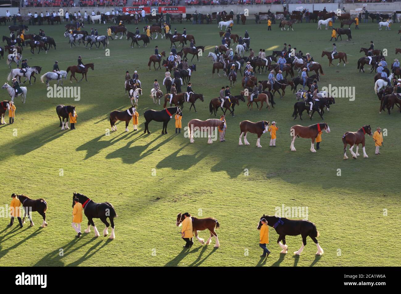 The Grand Parade held at Spotless Stadium Stock Photo - Alamy