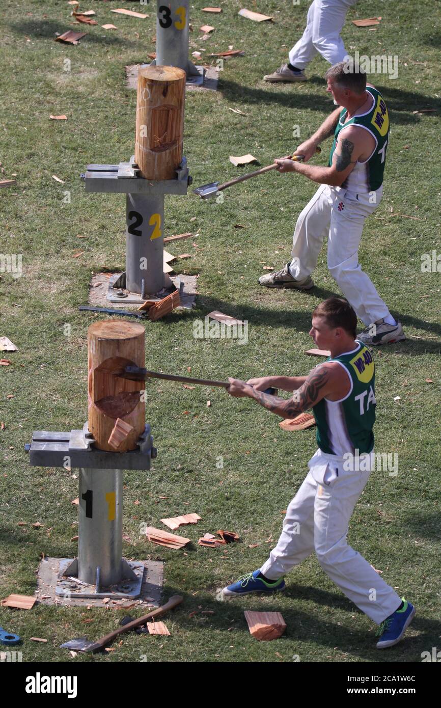 Woodchop Competition at the Sydney Royal Easter Show Stock Photo - Alamy