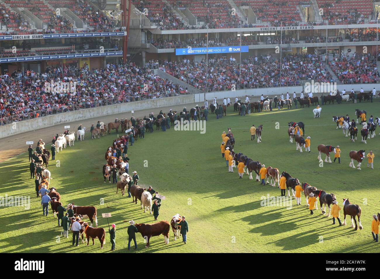 The Grand Parade held at Spotless Stadium Stock Photo - Alamy