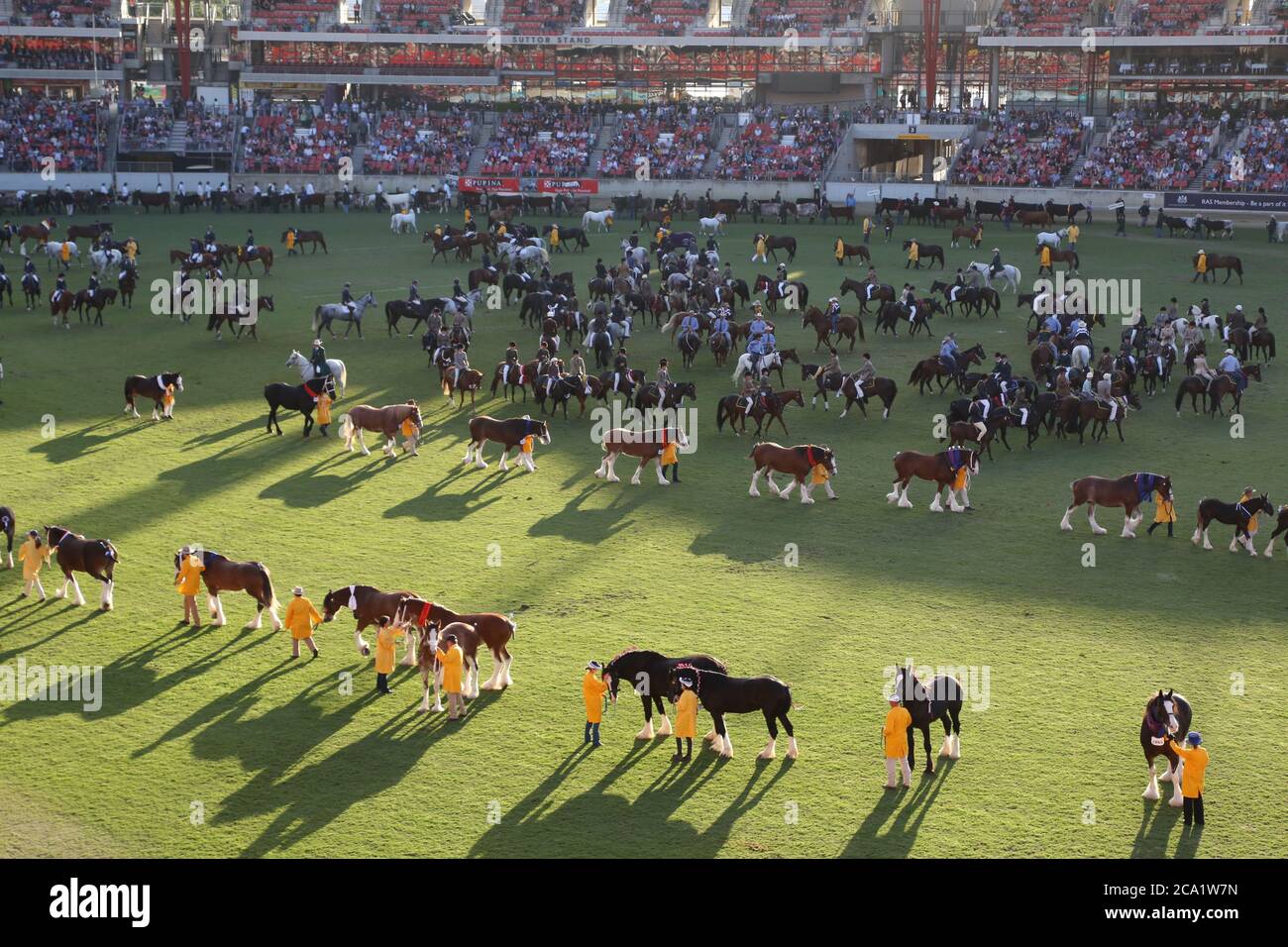 The Grand Parade held at Spotless Stadium Stock Photo - Alamy