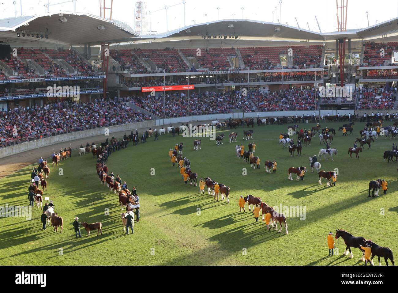 The Grand Parade held at Spotless Stadium Stock Photo - Alamy