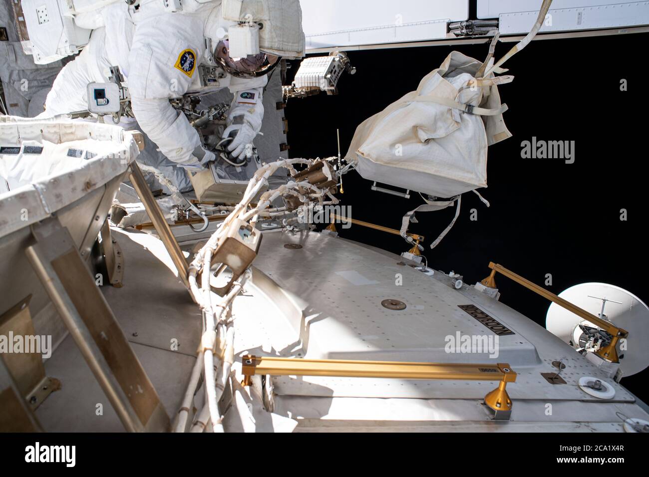 Commander Chris Cassidy Nasa