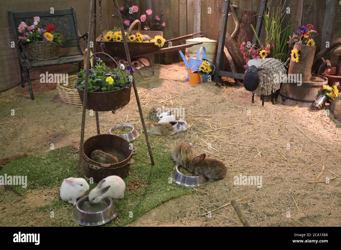 Farmyard nursery hi-res stock photography and images - Alamy