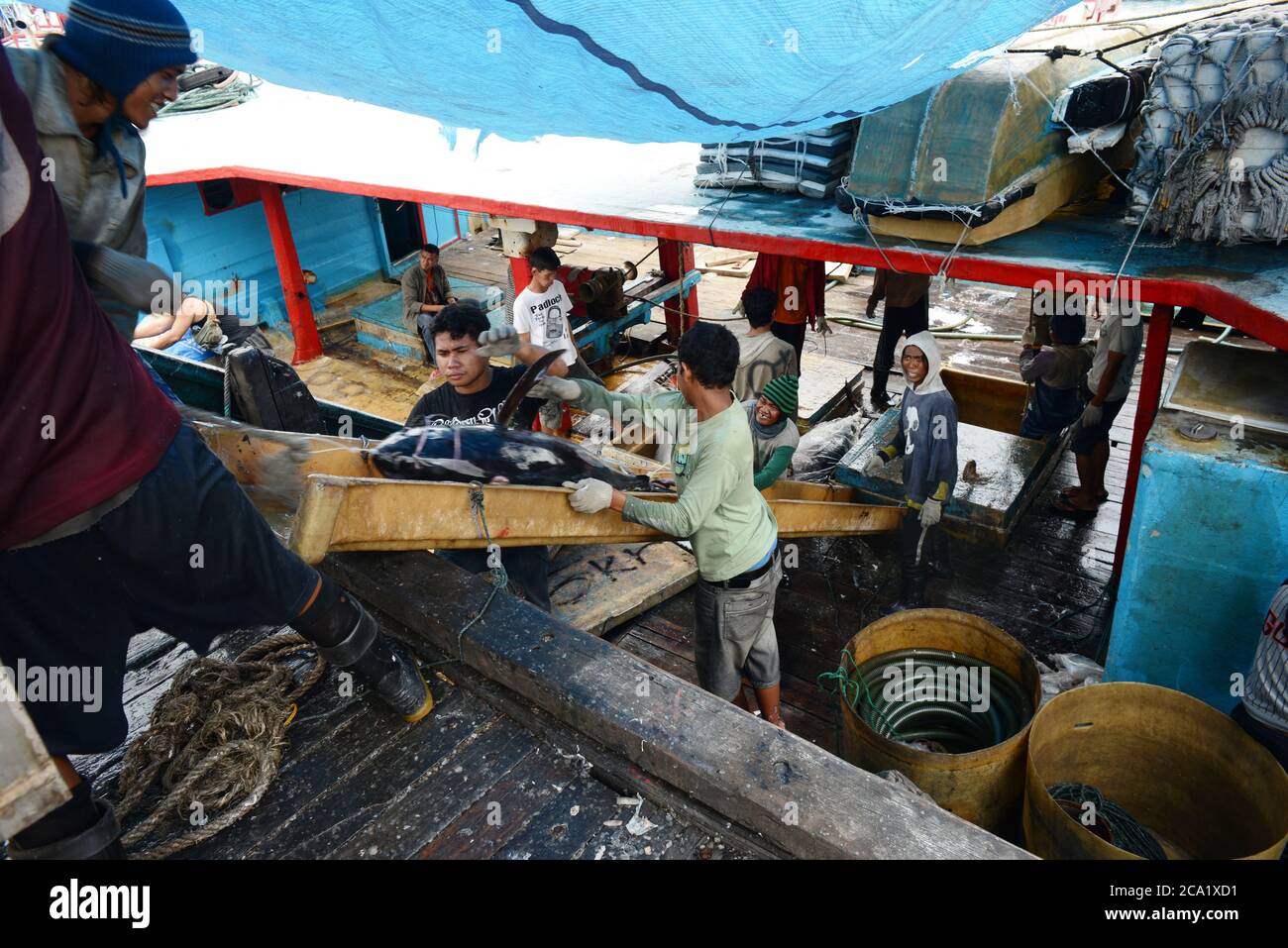Unloading fish from boat, Benoa, Bali Stock Photo - Alamy