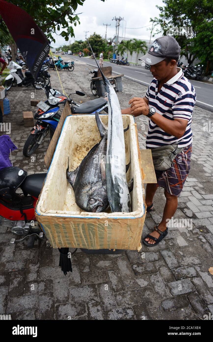 Loading fish from boat, Benoa, Bali Stock Photo - Alamy