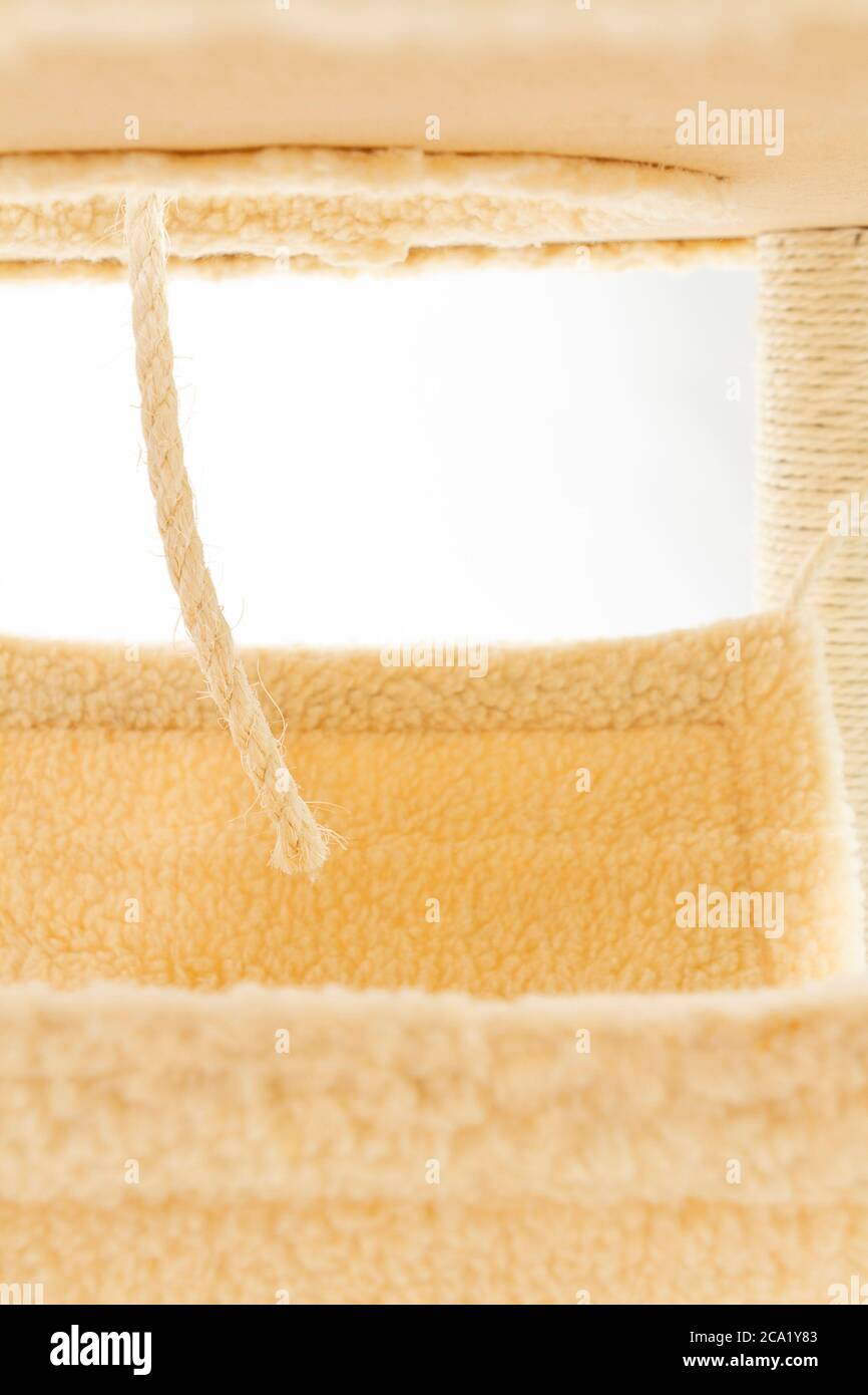 cat tree with velvet Stock Photo - Alamy