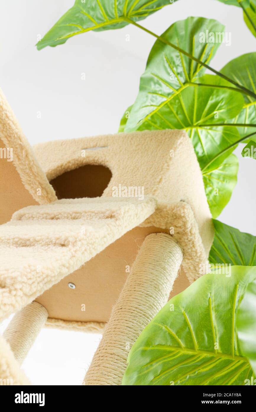 cat tree with velvet Stock Photo - Alamy