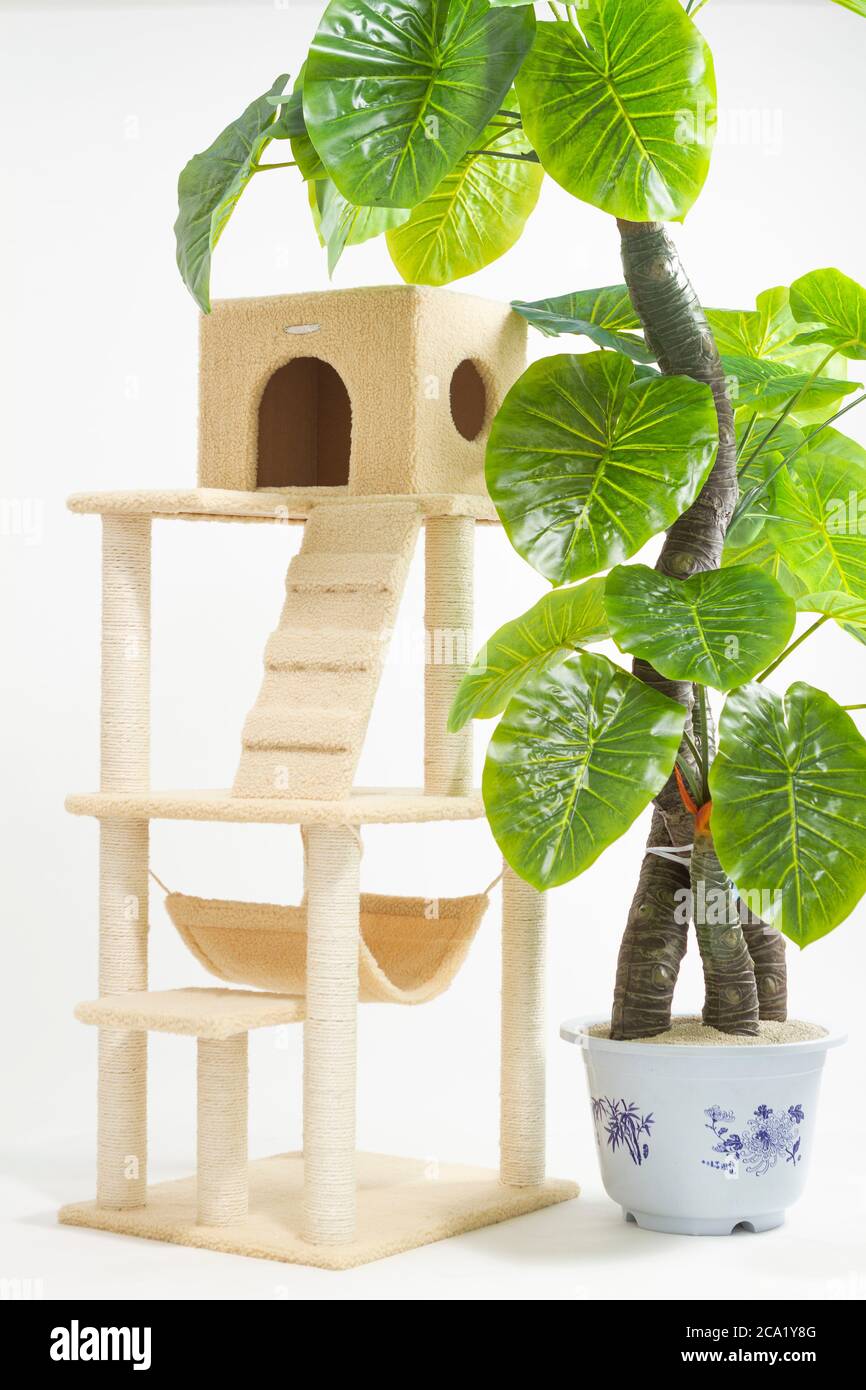 cat tree with velvet Stock Photo - Alamy