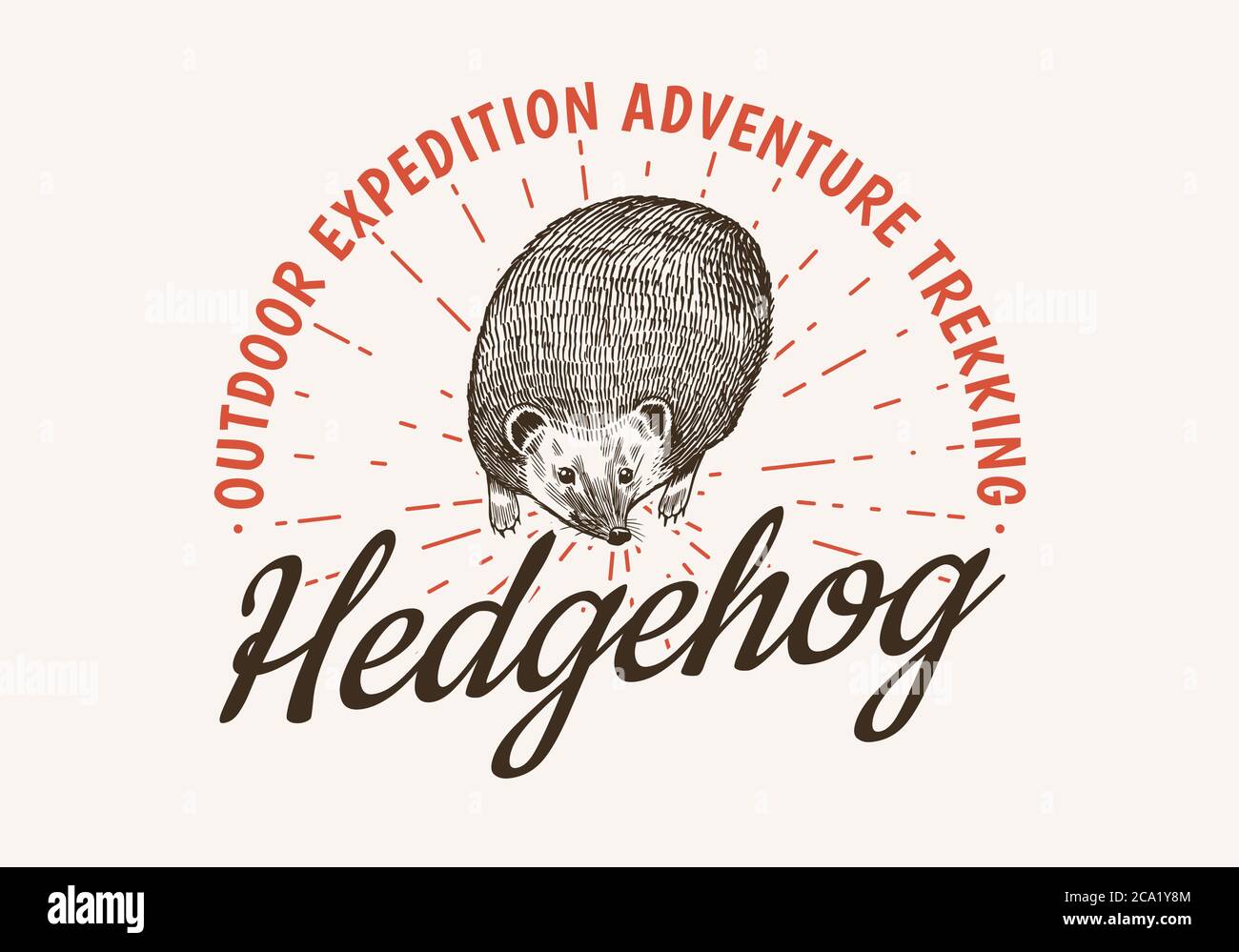 Hedgehog badge. Spiny forest wild animal label or logo. Vector Engraved ...