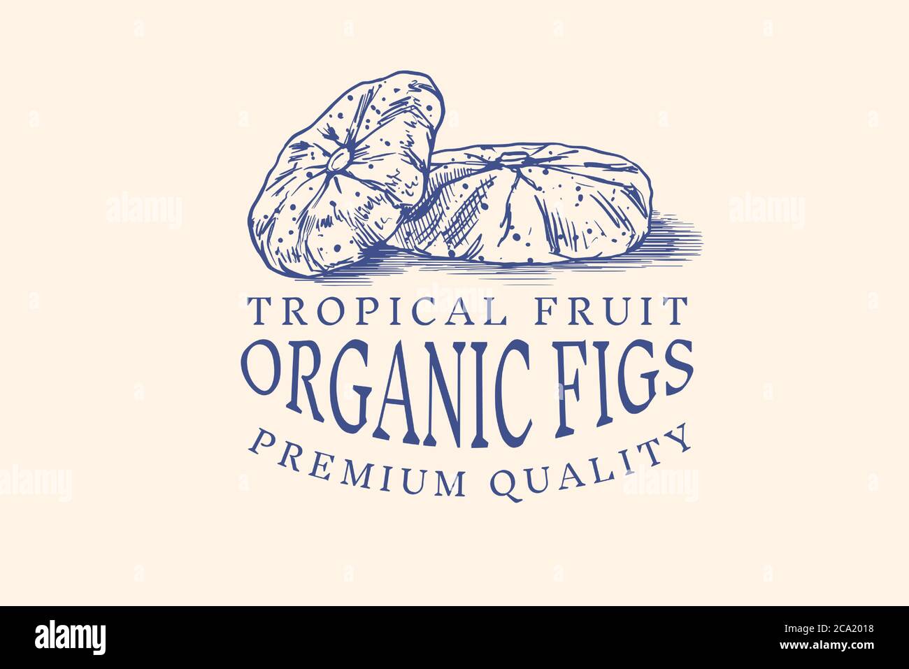 Fresh fig badge. Dried fruit Foliage label or logo. Cut pieces. Detox ...