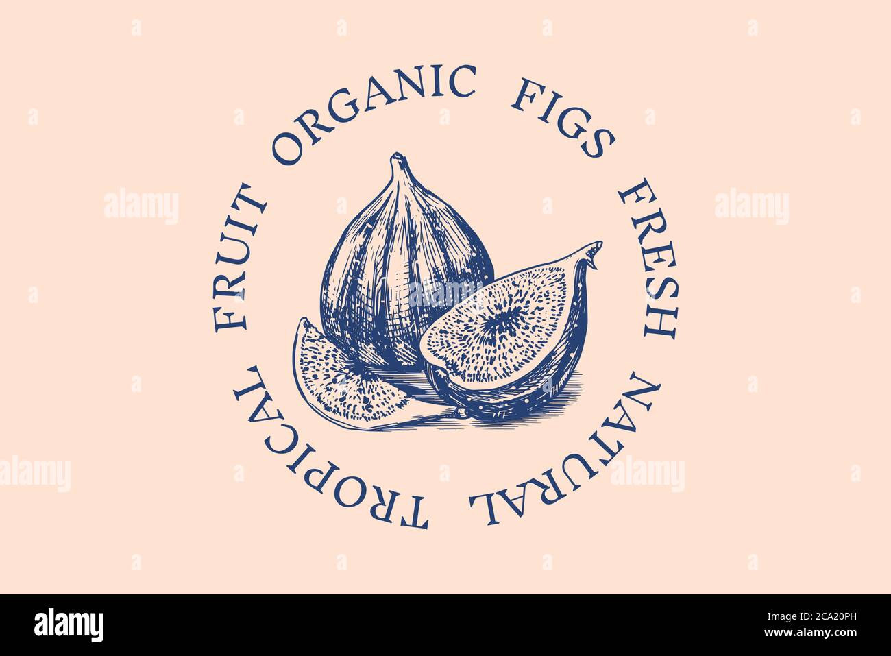 Fresh fig badge. Fruit Foliage label or logo. Cut pieces. Detox spice ...
