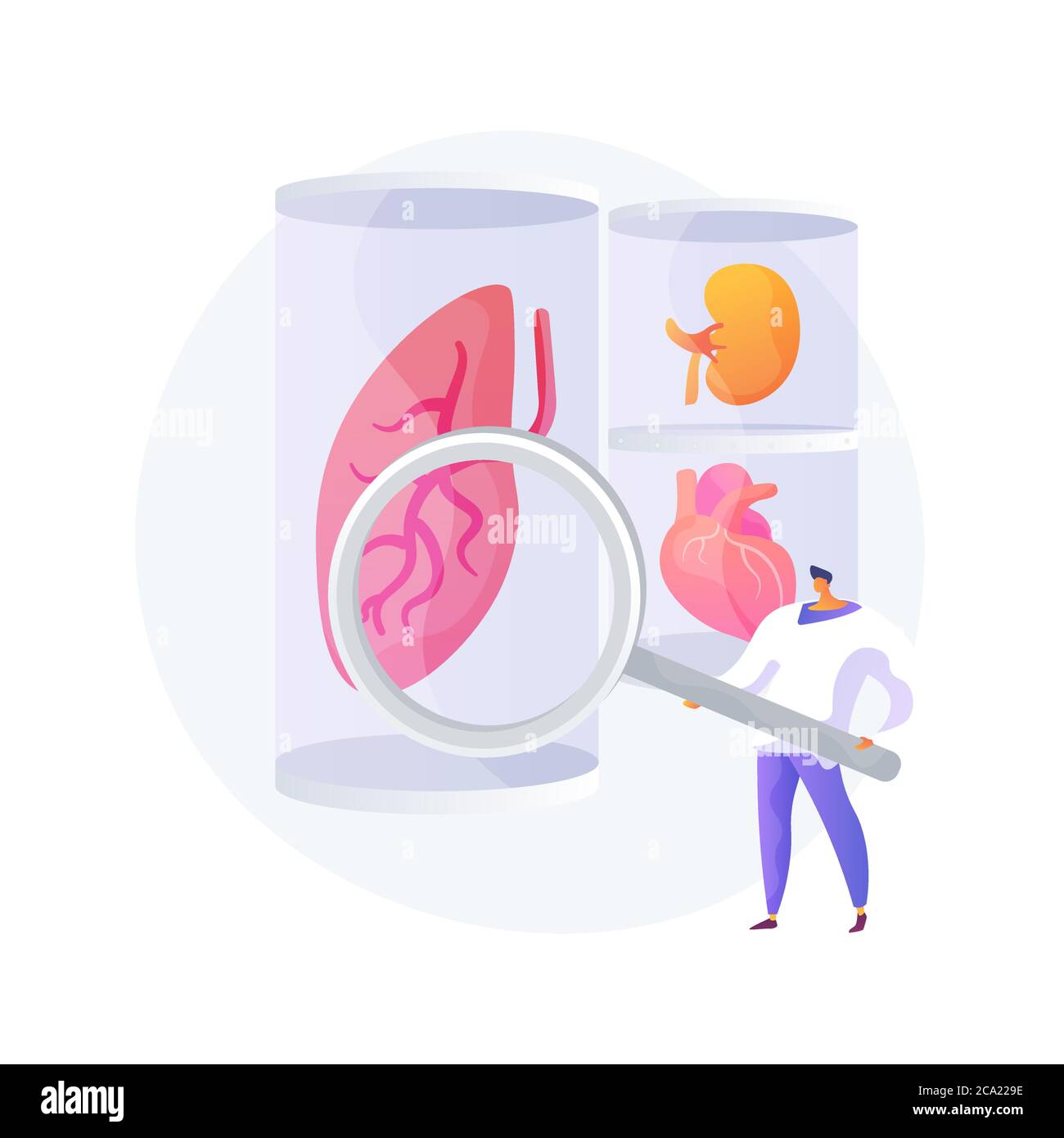 Lab-grown organs abstract concept vector illustration Stock Vector ...