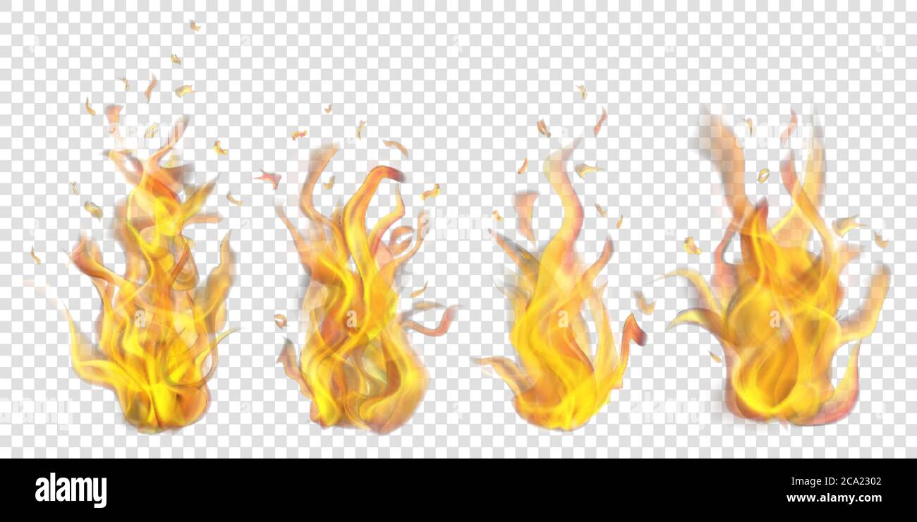 Set of translucent burning campfires on transparent background. For ...