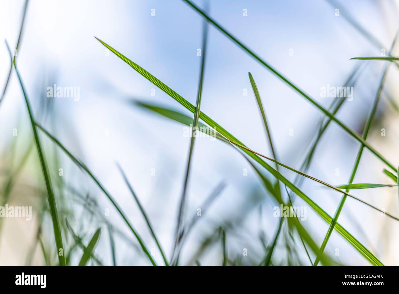 Ground level deck hi-res stock photography and images - Alamy