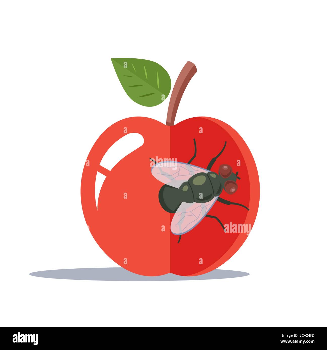 a big fly sits on a red apple. flat vector illustration Stock Vector ...