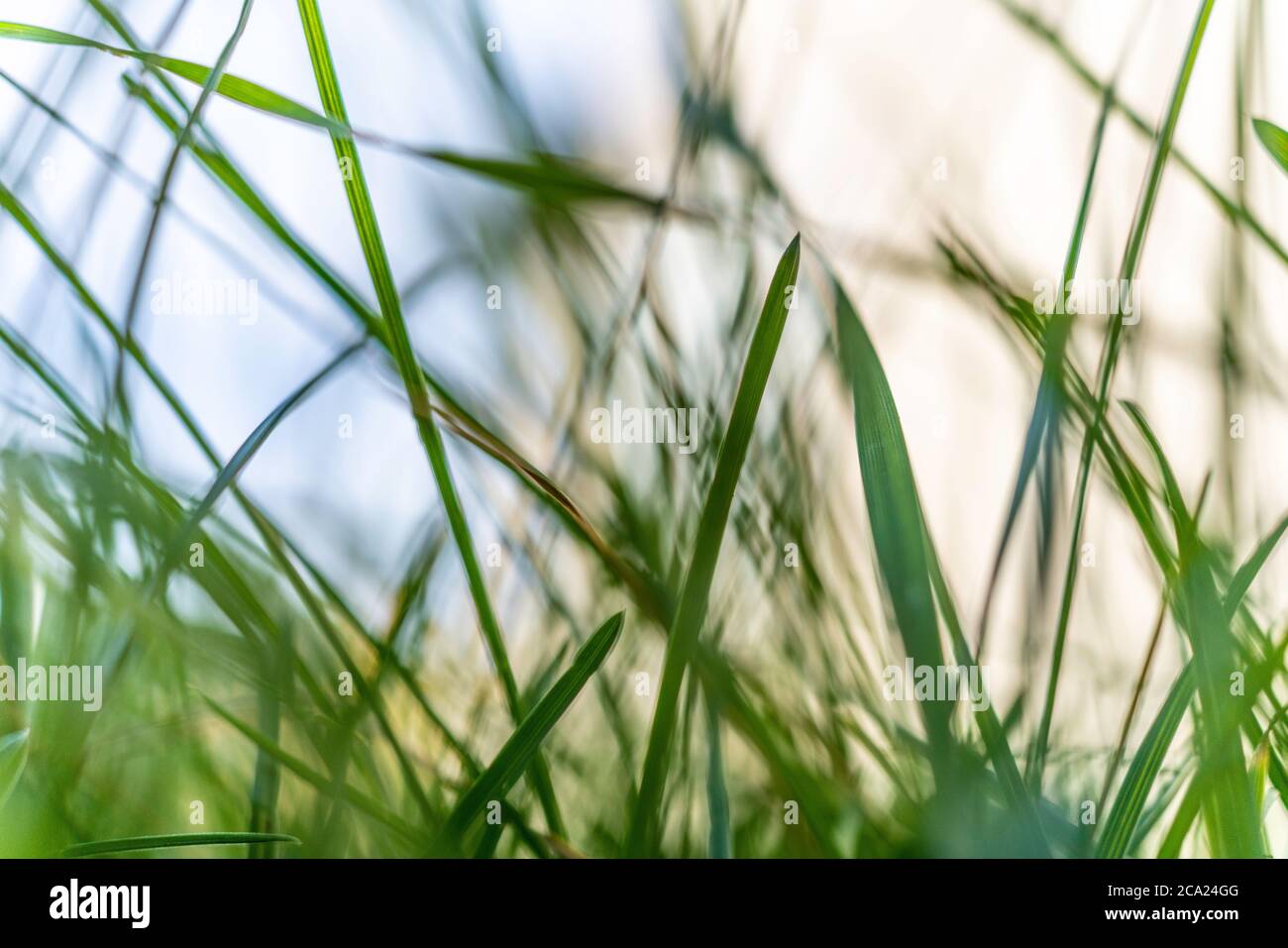 Ground level deck hi-res stock photography and images - Alamy