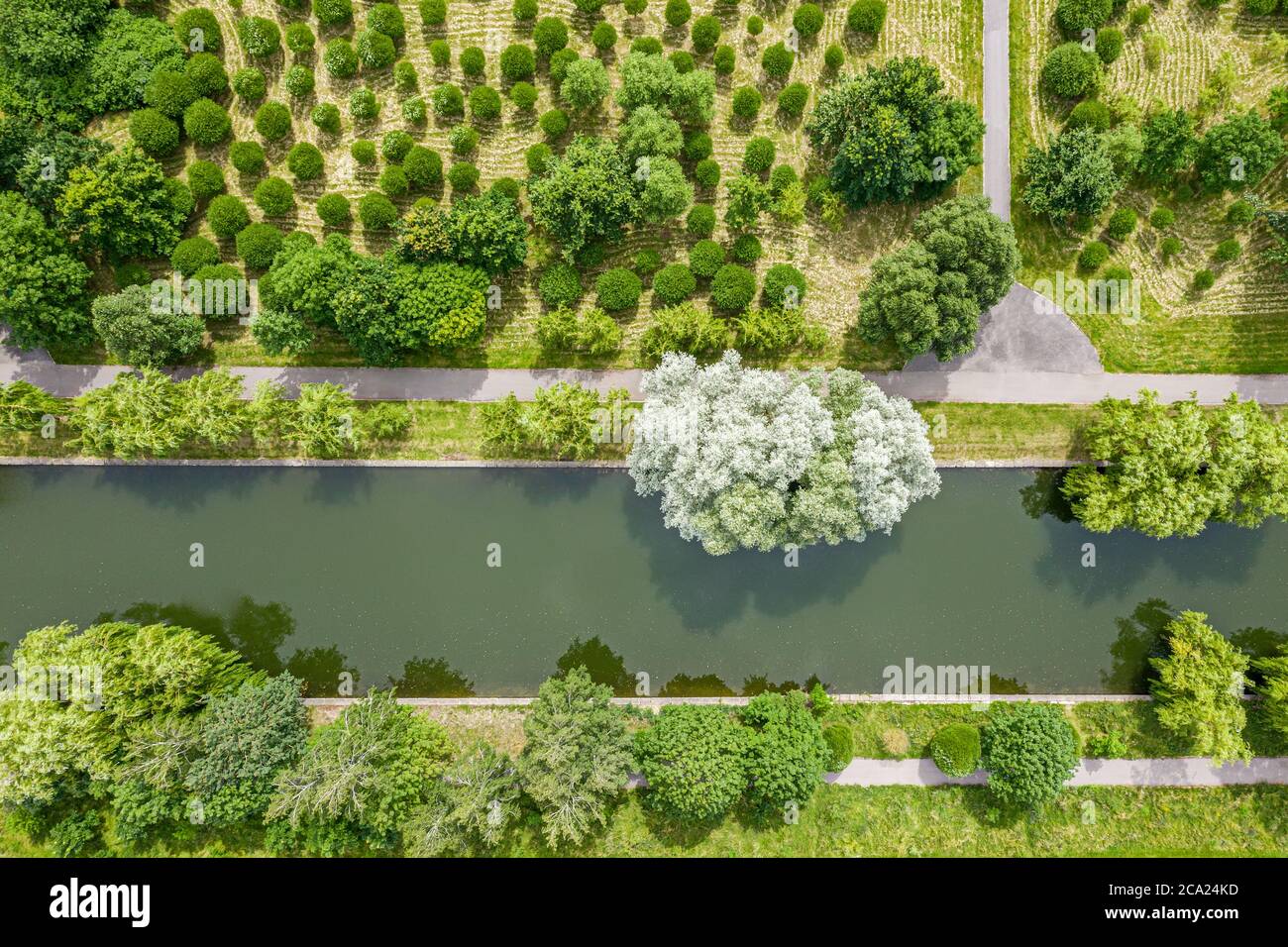 aerial top view of city public park with green lawns, trees and ...