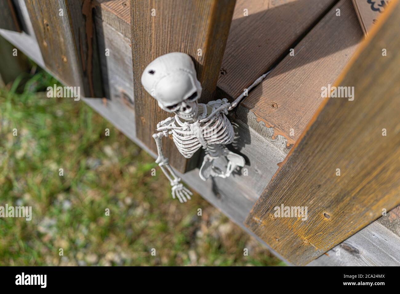 Skeleton on outside decking for Halloween celebration Stock Photo - Alamy