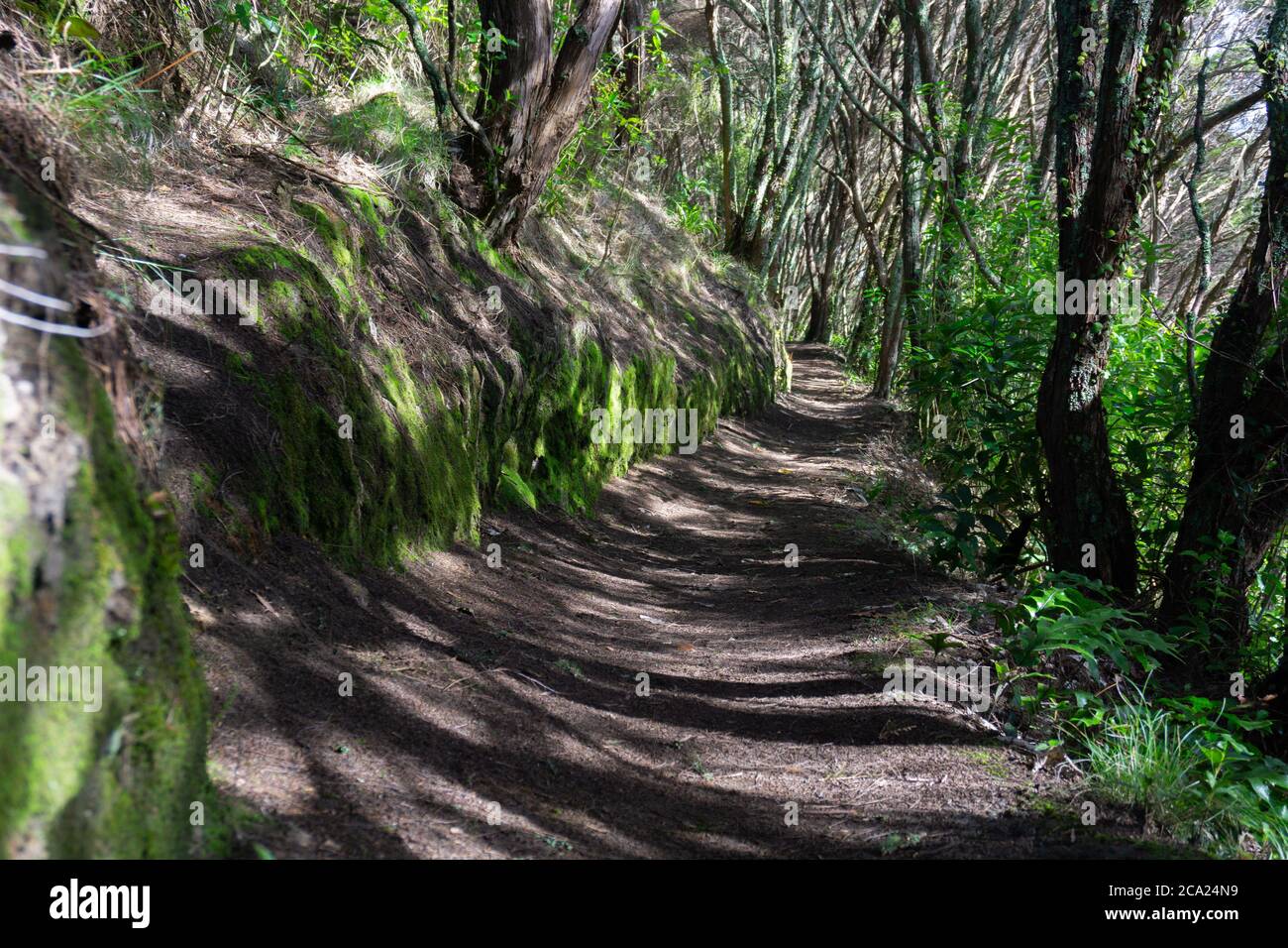 Pathway or track across lake lakes hi-res stock photography and images ...