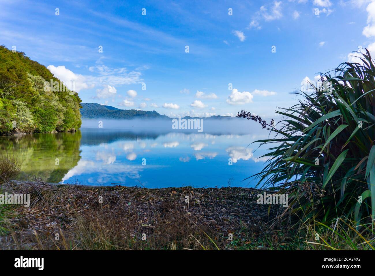 View between bush and flax across beautiful calm lake with white puffy ...
