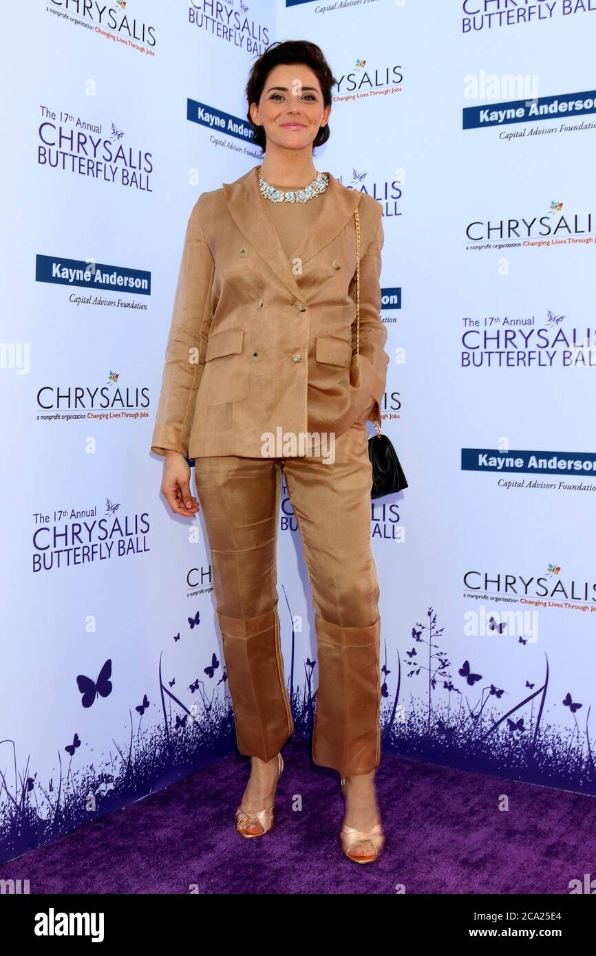 LOS ANGELES - JUN 2: Vikki Krinsky at the 17th Annual Chrysalis ...