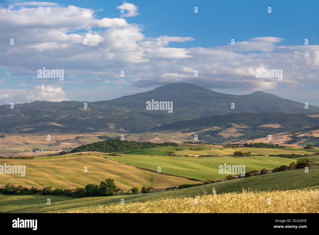 Iconic tuscanian landscape, with hills covered with farmland under a ...