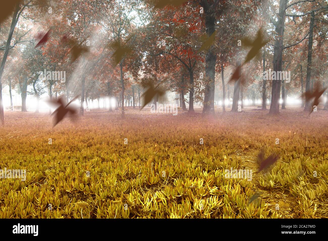 Forest with windy weather. Concept of changing the environment Stock ...