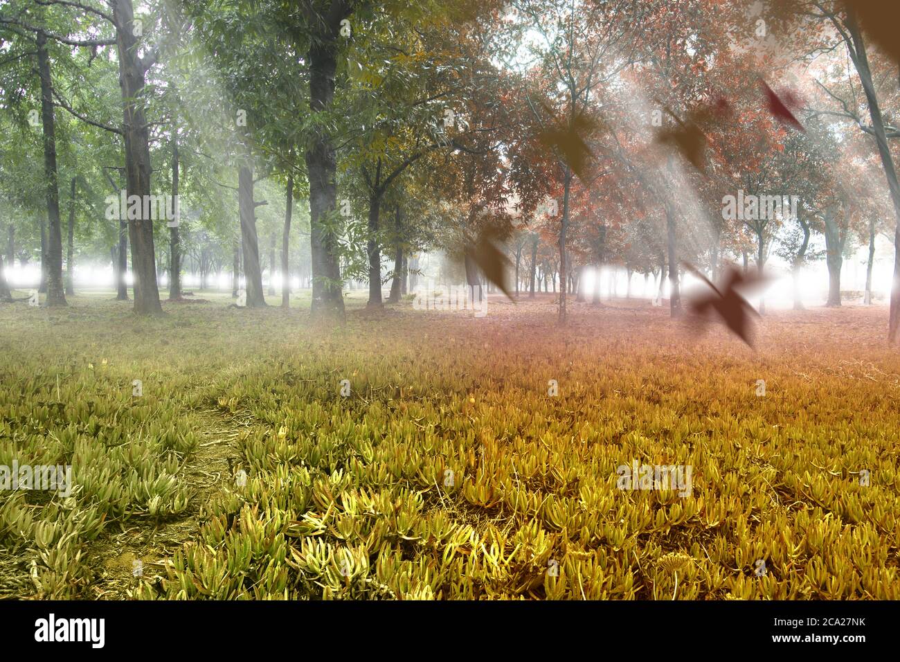 Different weather hi-res stock photography and images - Alamy