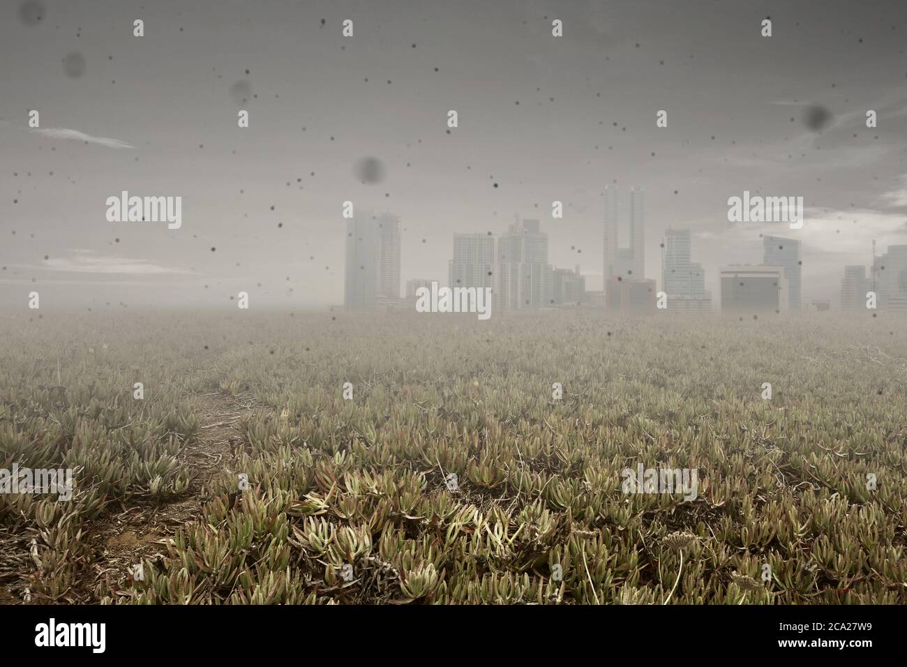 Field with a pollution effect from city development. Concept of ...