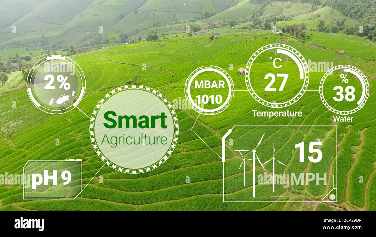 Precision agriculture top view hi-res stock photography and images - Alamy