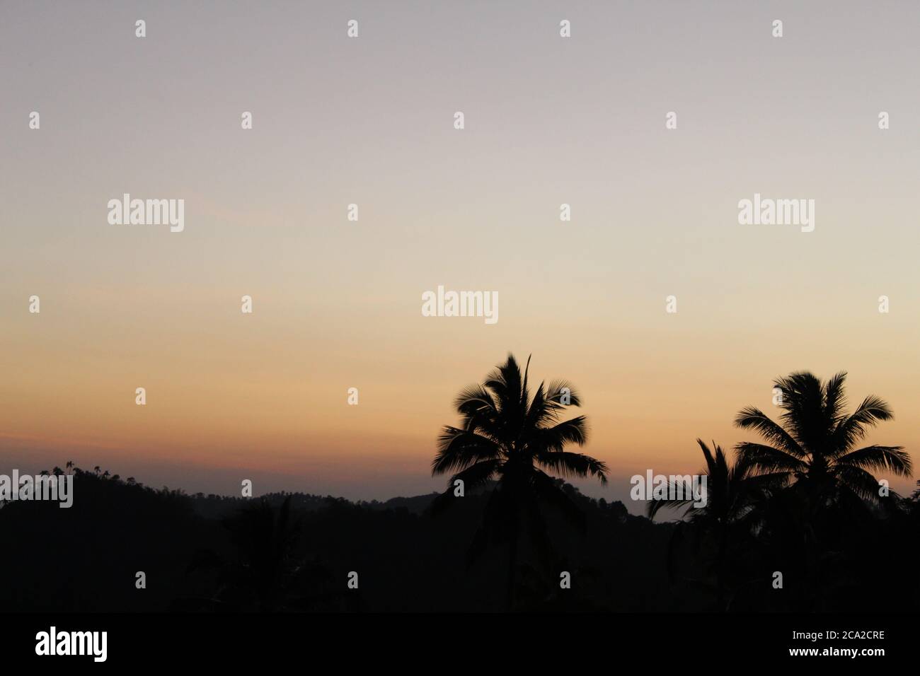 Various photos of nature Stock Photo - Alamy