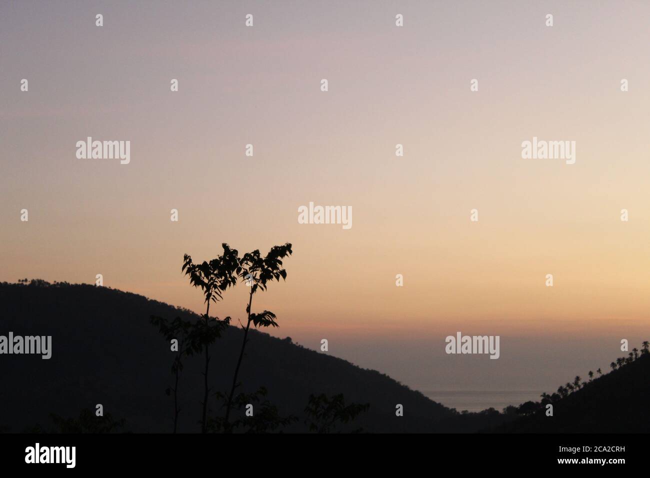 Various photos of nature Stock Photo - Alamy