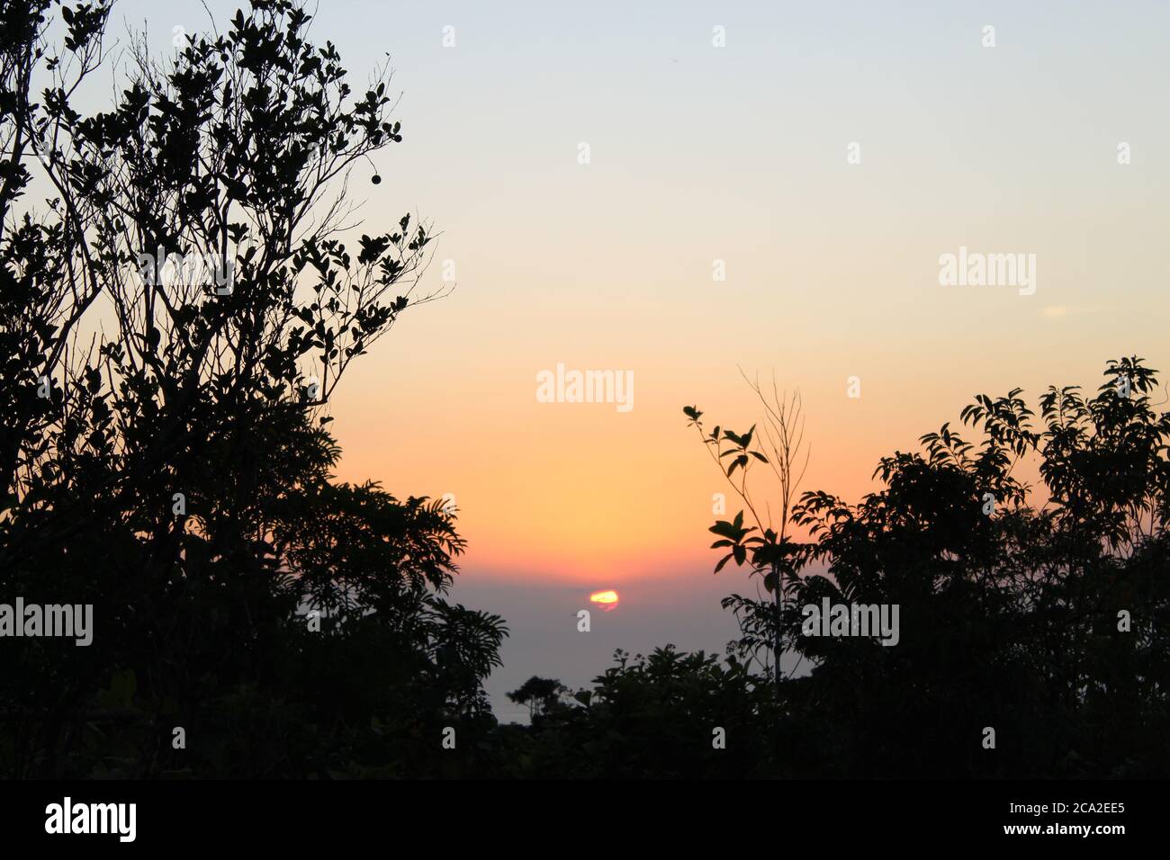 Various photos of nature Stock Photo - Alamy